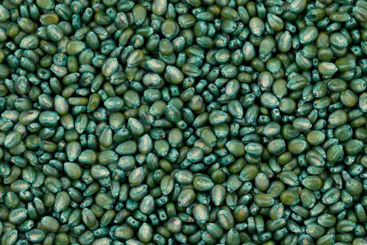 Product – INTEGRA Seed | Wilbur-Ellis